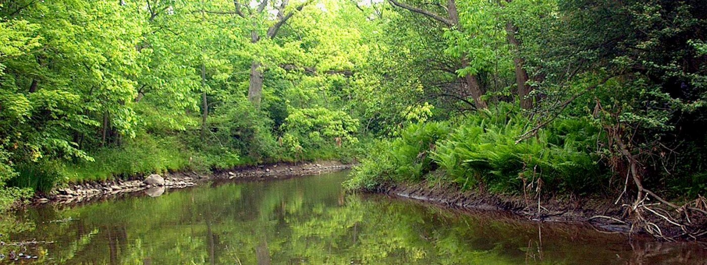 Genung Nature Preserve | Finger Lakes Land Trust