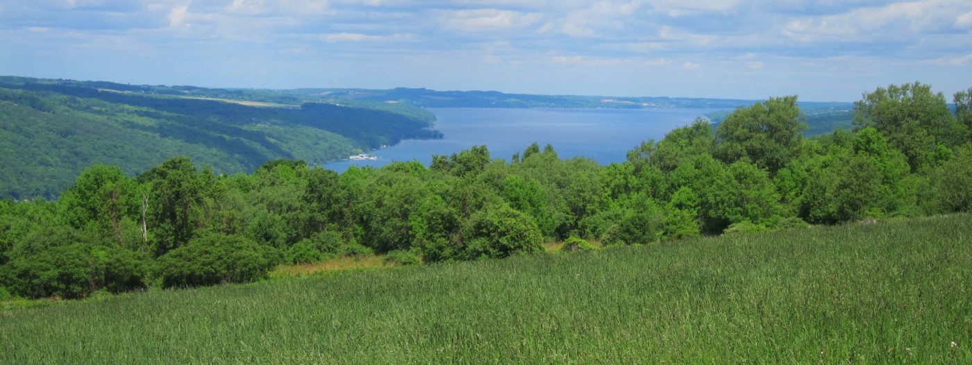 Hinchcliff Family Preserve | Finger Lakes Land Trust