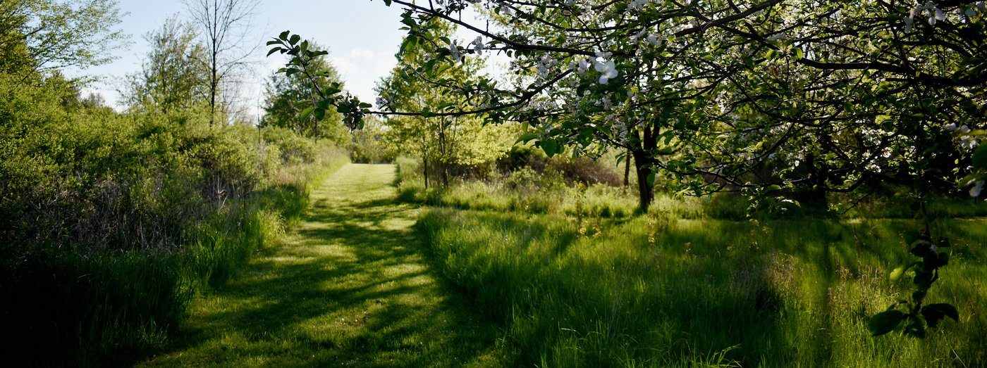 Kashong Conservation Area | Finger Lakes Land Trust