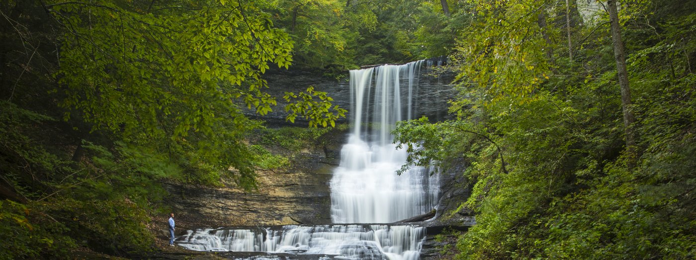 Bahar Preserve & Carpenter Falls | Finger Lakes Land Trust