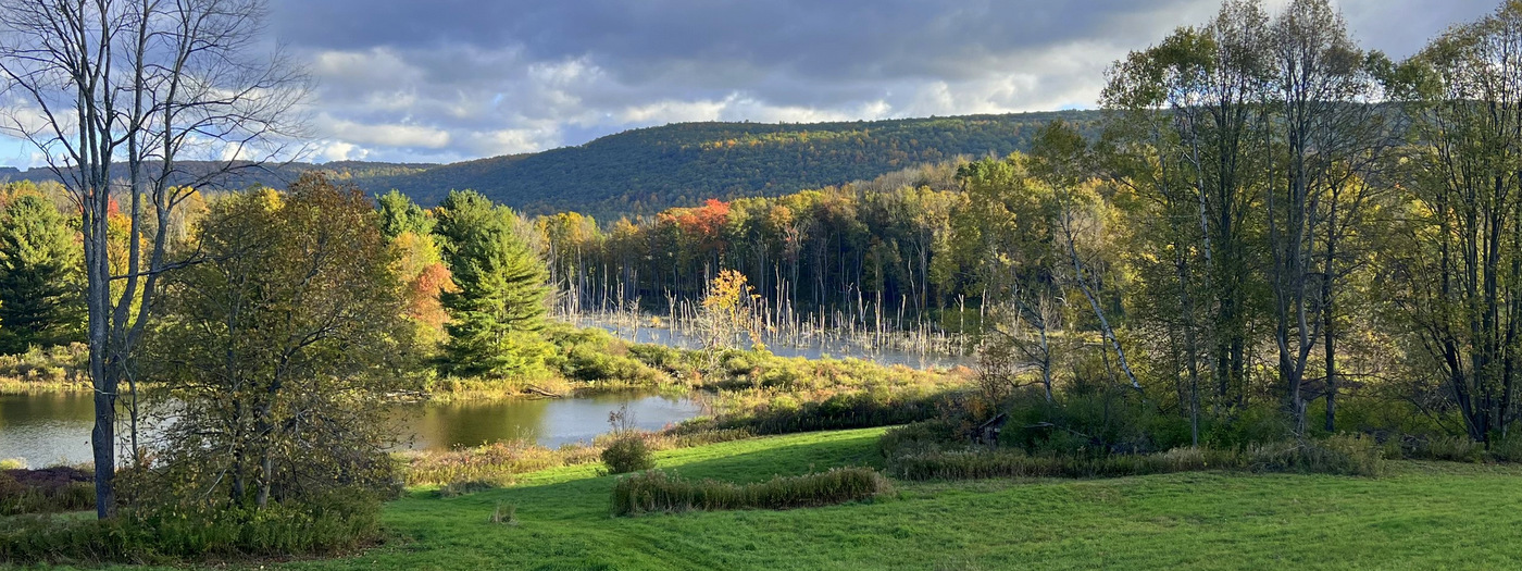 Lindsay-Parsons Biodiversity Preserve | Finger Lakes Land Trust