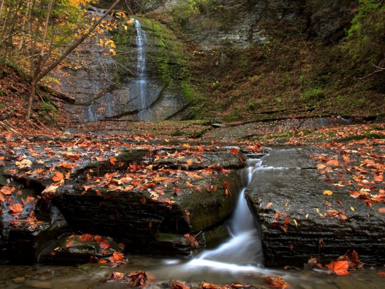 30 Years of Conservation in the Finger Lakes! | Finger Lakes Land Trust