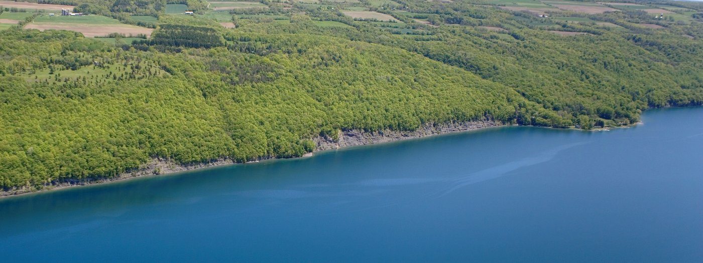 How Is FLLT Fighting Toxic Algae? | Finger Lakes Land Trust