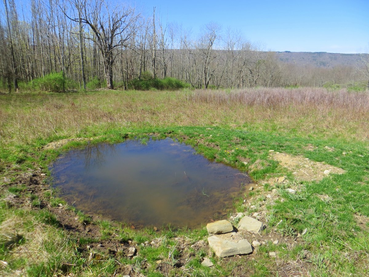 Our Projects to Save Lakes, Streams, and Drinking Water | Finger Lakes ...