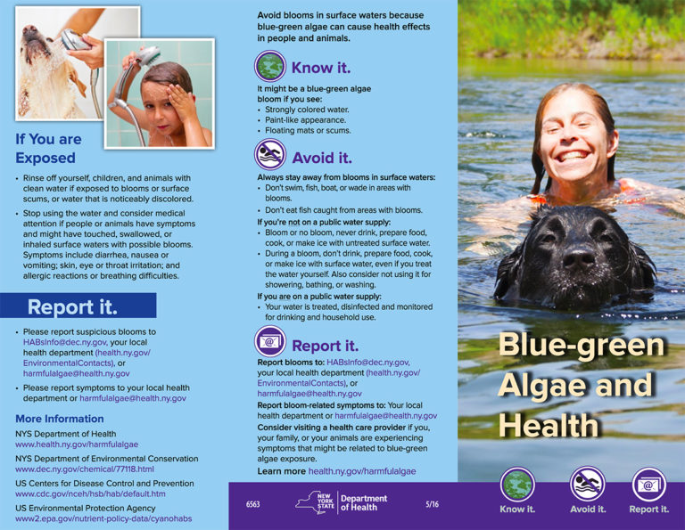 Toxic Algae Facts for Everyone to Know | Finger Lakes Land Trust
