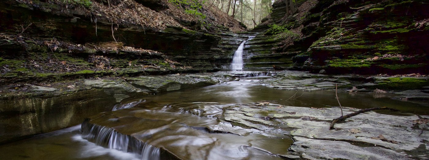 Finger Lakes Land Trust Earns National Recognition | Finger Lakes Land ...