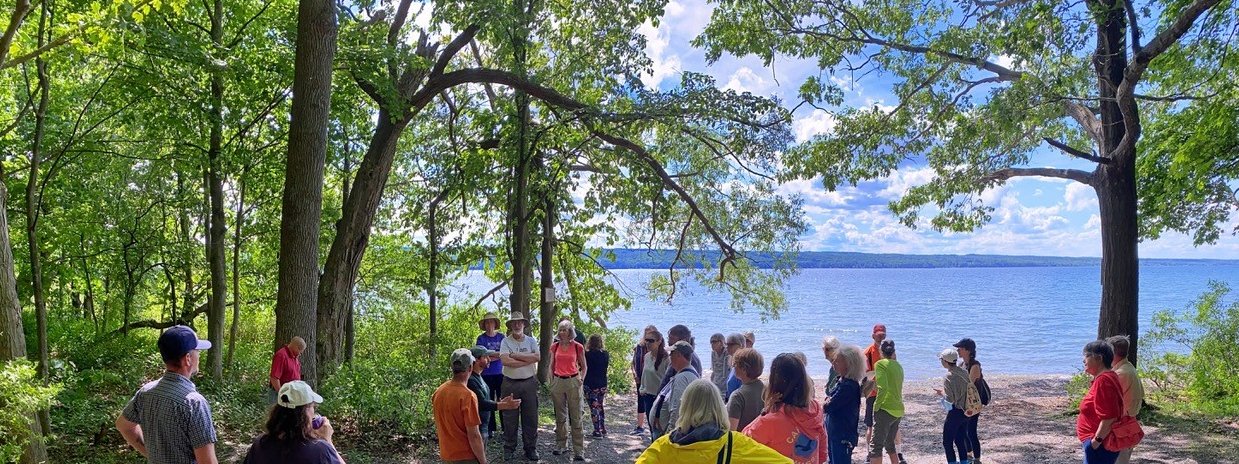 Cayuga Shores Wildlife Management Area (Formerly Bell Station) | Finger ...