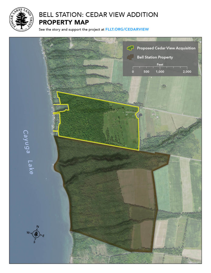 Bell Station: Cedar View Addition in 2023! | Finger Lakes Land Trust