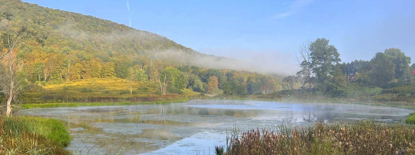 FLLT Newsletters (2023) | Finger Lakes Land Trust