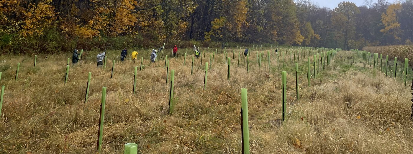 Finger Lakes Land Trust Partners with The Nature Conservancy to Plant ...