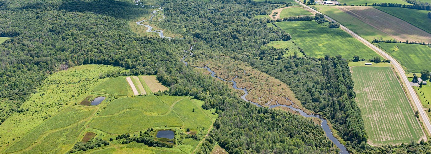 Land Trust Protects Over 100 Acres in Skaneateles Lake Watershed | Finger Lakes Land Trust