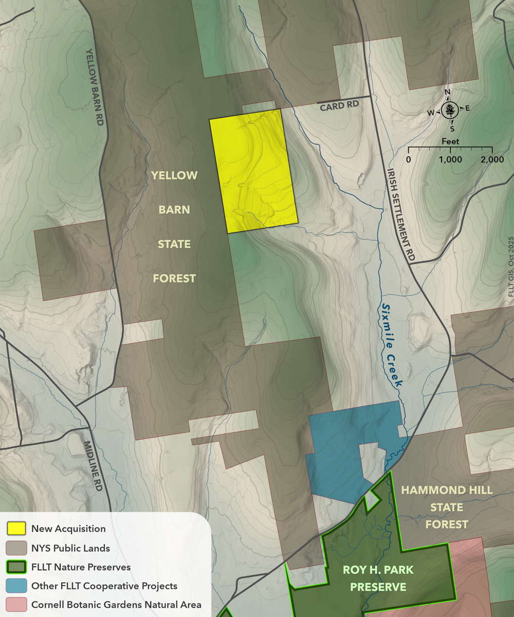 Forest Acquisition Adds to Ithaca’s Emerald Necklace | Finger Lakes ...